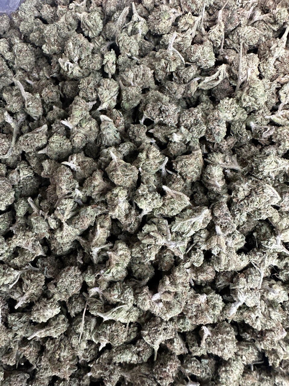 Ice Cream Cake Smalls - Bulk Weed US Ice Cream Cake Smalls - Bulk Weed US